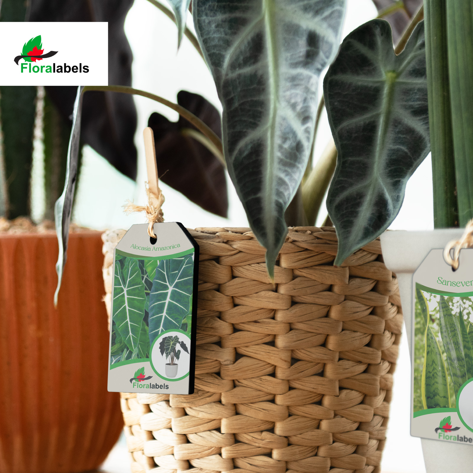 Brands - All4Labels Global Packaging Group – Connecting brands and ...